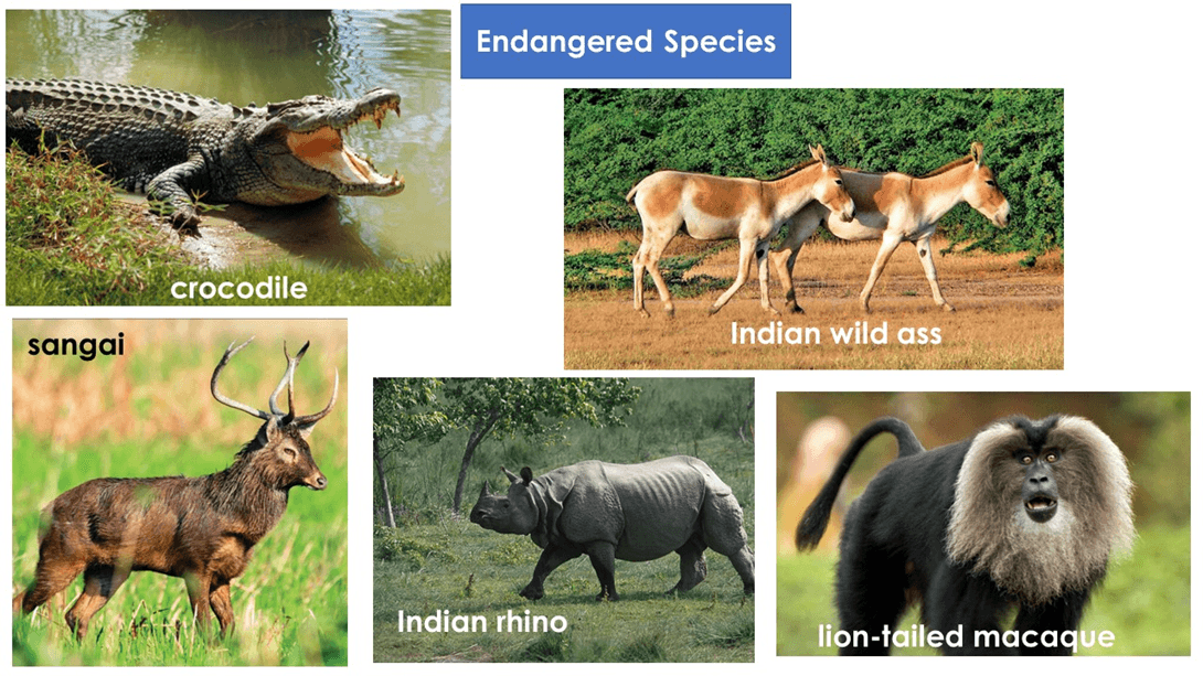 Forest and Wildlife Resources Notes - AAtoons Study
